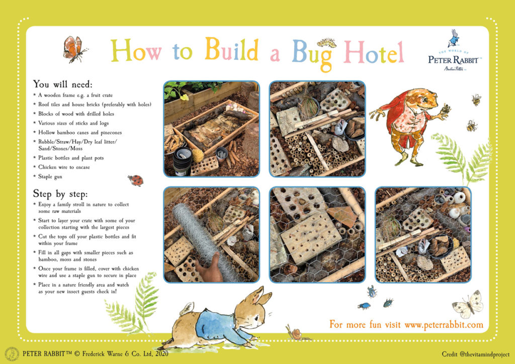 Make a Bug Hotel - Peter Rabbit