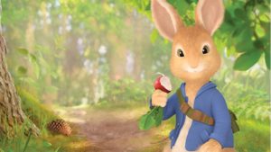 Discover - Peter Rabbit