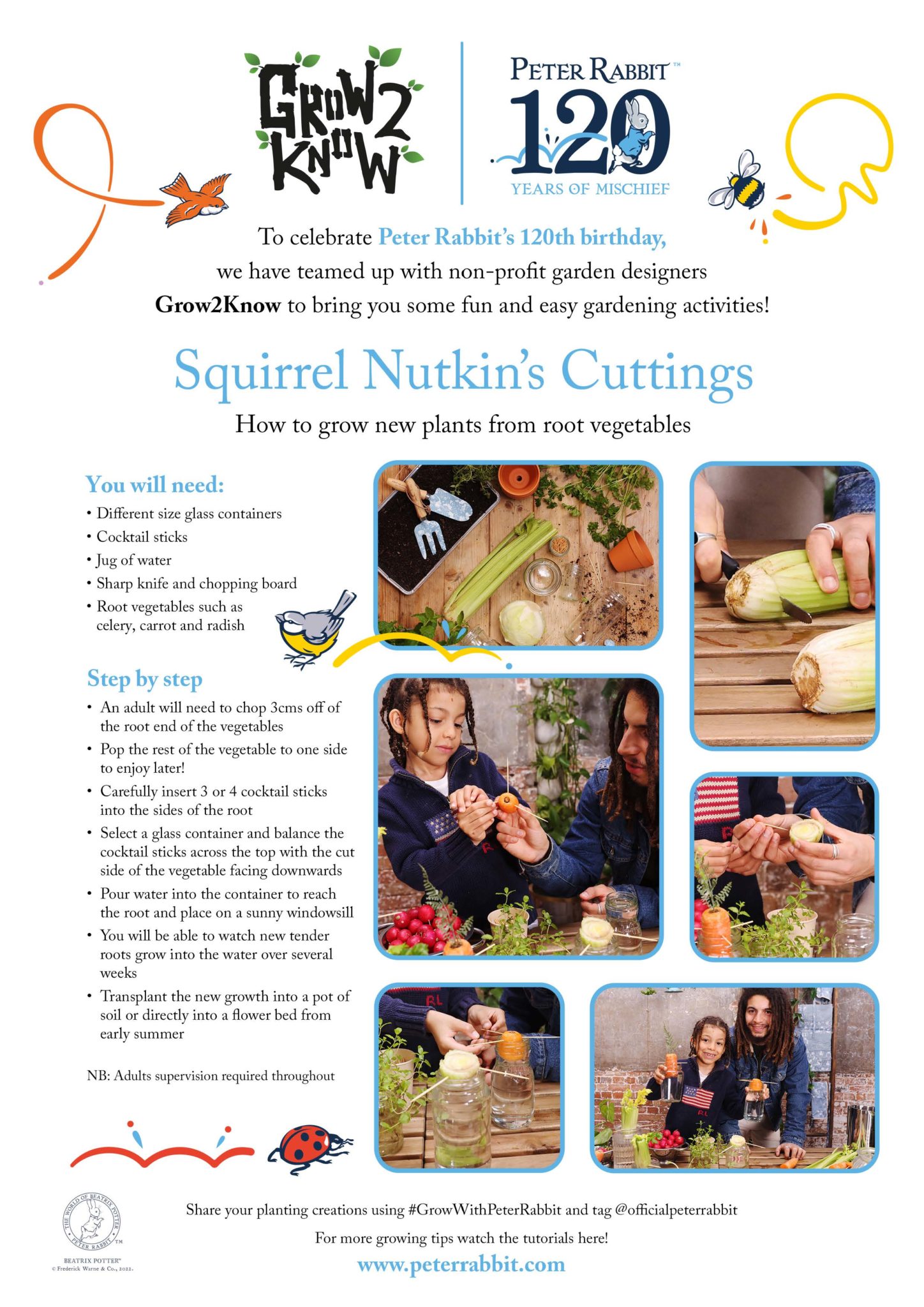 Squirrel Nutkin's Cuttings - Peter Rabbit