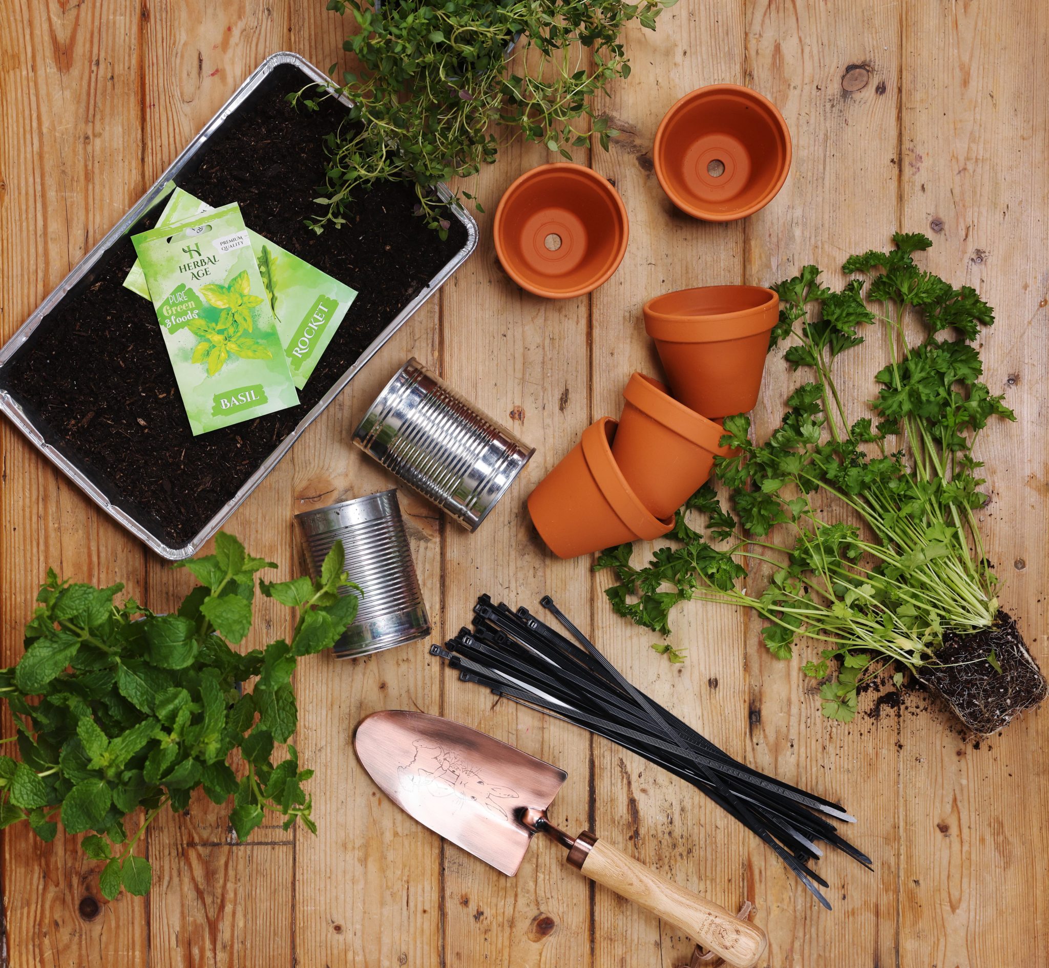 Welcome to the official home of Peter Rabbit