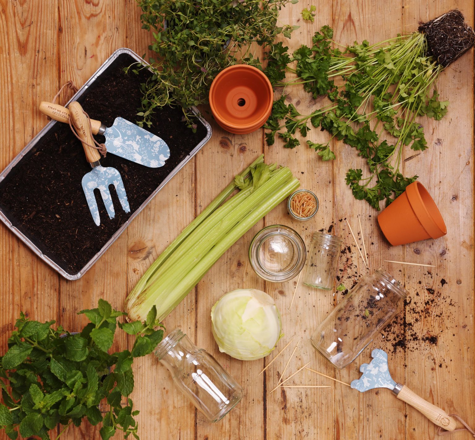 Welcome to the official home of Peter Rabbit