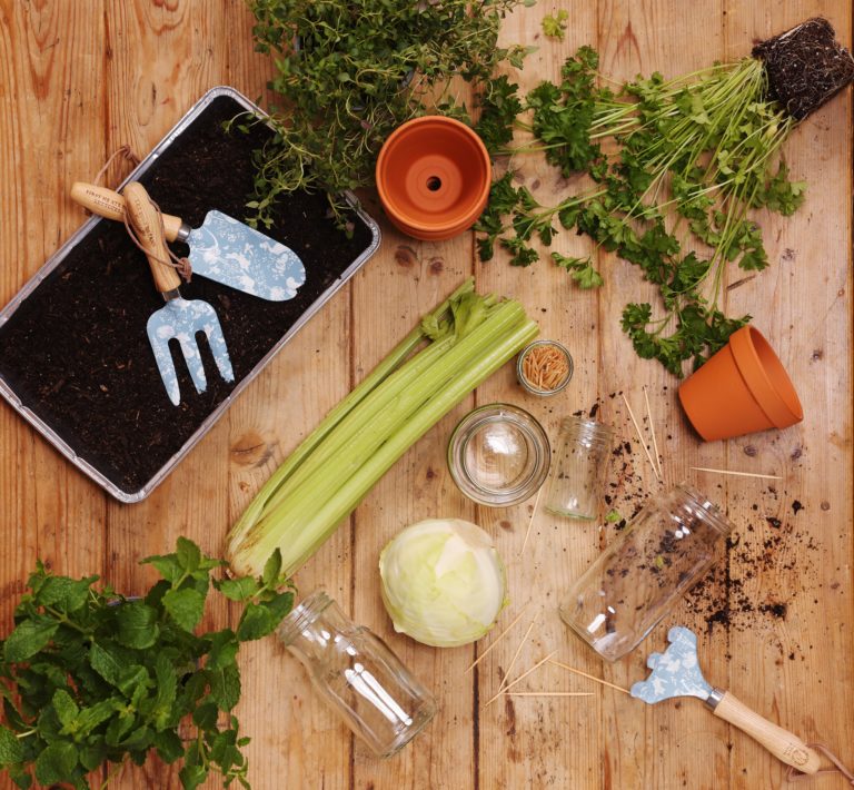 Welcome to the official home of Peter Rabbit