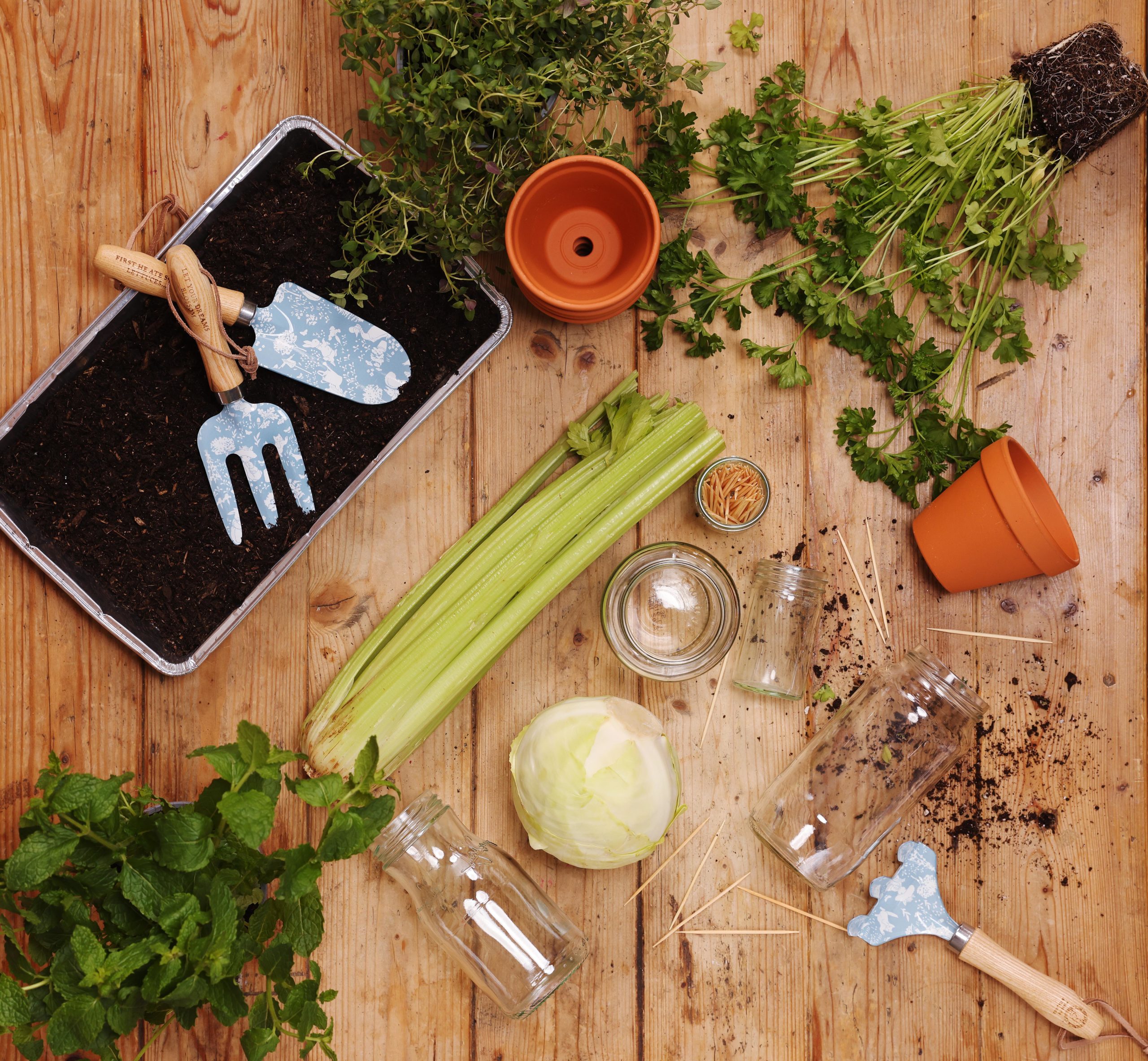 Squirrel Nutkin's Cuttings - Peter Rabbit