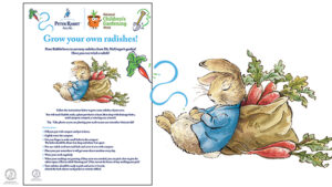 Activities Archive - Peter Rabbit