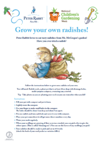 Grow your own Radishes - Peter Rabbit