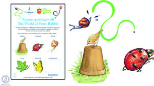 Activities Archive - Peter Rabbit